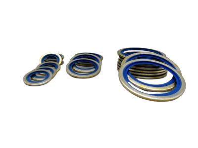 Cina Guarnizione legata autocentrante O di gomma personalizzabile Ring Gasket del metallo in vendita