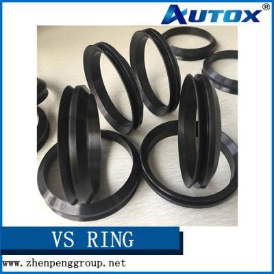 Cina NBR FKM O che sigilla il tipo asse V Ring Water Seals di VA dell'anello di Ring Rubber Rotary Shaft Seal in vendita
