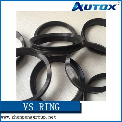 Cina NBR FKM O che sigilla il tipo asse V Ring Water Seals di VA dell'anello di Ring Rubber Rotary Shaft Seal in vendita