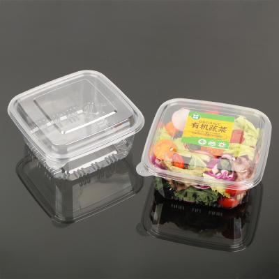 Cina Disposable Plastic Salad Sweetmeat Preserved Fruit Packaging With Lid in vendita