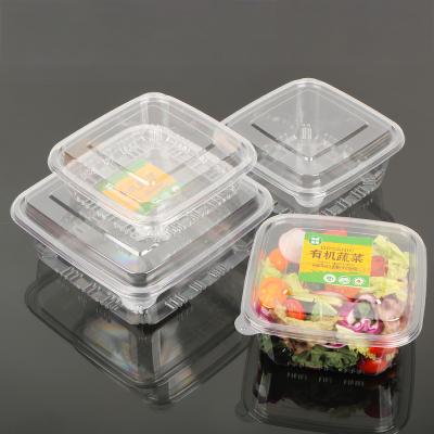 Cina Disposable Plastic Salad Sweetmeat Preserved Fruit Packaging With Lid in vendita