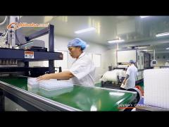 Engenheiro, embalagem segura para os alimentos.