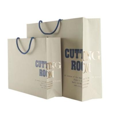 China Eco Friendily Personalized Paper Gift Bags For Shopping / Advertising Use for sale