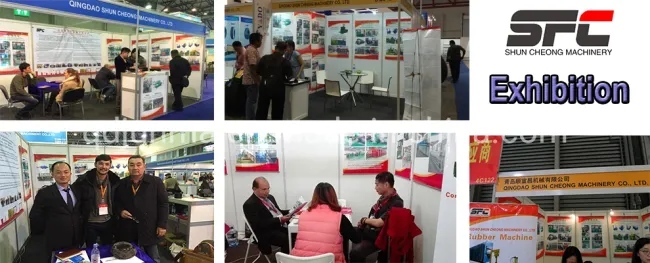 Hot Technology CE Rubber Moulding Machine with Push-Pull System