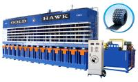 China CE&ISO Certified C-Type Tire Retreading Machine with Low Energy Consumption and Automatic System for sale