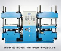 China Full Automatic Duplex Rubber Vulcanizing Press Machine for Seal Rings for sale