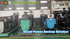 Custom Diesel Generator Quiet Power