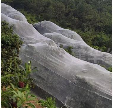 China Plastic bird-proof net PE enlarged thickened greenhouse agricultural breeding net vineyard insect-proof net for sale