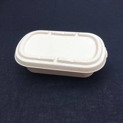 투명한 뚜껑을 가진 100% 생물 분해성 사탕수수 샐러드 처분할 수 있는 도시락