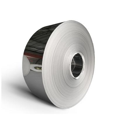 Cina Striscia sottile di acciaio inossidabile per la mobilia 1mm 2mm delle porte delle primavere 201 304 304L 316 410 430 in vendita