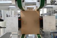 China Biscuits Cookie Carton Case Packer Machine 10pcs/Min Automated for sale
