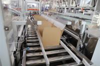 China Pharma Cosmetics Top Loading Case Packer , Grab Type Vertical Case Packer for sale