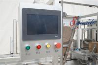 China Side Loading 8 Cases/Min Carton Case Packer Compact Box Packer Machine for sale