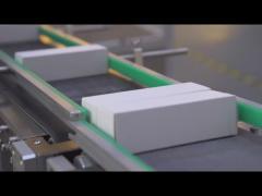 Packing Line /Solution /Automatic Packing Line for Lotion-SICIAUTO
