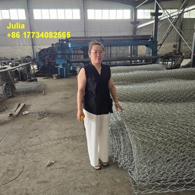 China Double Twisted Class A Gabion Mesh Cage Hexagonal Steel Mesh Gabion Cages for sale