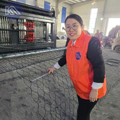 China Hexagonal Mesh Rock Fall Protection Mesh Gabion Wire Mesh Roll Customized for sale