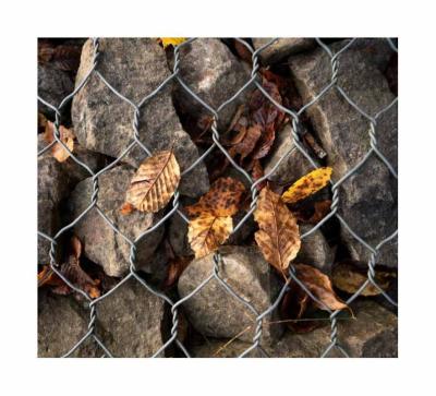 China Durable Galvanized Gabion Stone Cage Box China Manufacturer Cheap Price River Engineering Hexagonal Gabion Box/Gabion Basket for sale