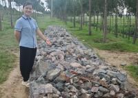 Quality Heavy Duty Hexagonal Gabion Wall for Slope Protection River Bank Stabilization for sale
