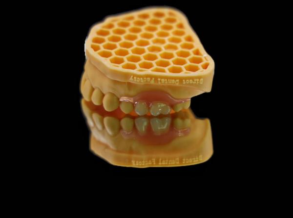 Quality Removable Adjusting Valplast Partials High Flexibility Chinese Dental Lab for sale