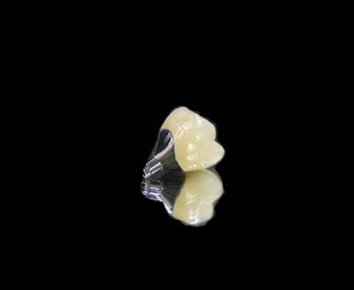 China CPTi Ti-6Al-4V Body Dental Lab Zirconia Implant System For Prosthodontics for sale