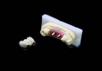 Quality Precision Digital Dental Design Services Compatibility Zirconia Implant for sale
