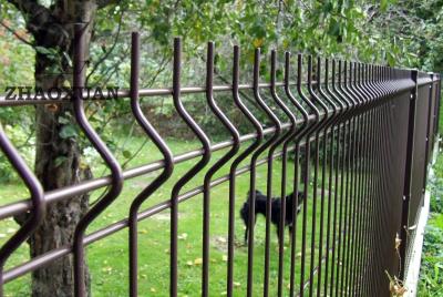 China Garten 3D kurvte Draht-Mesh Fencing Refined Hot Dipped galvanisierten Zaun zu verkaufen