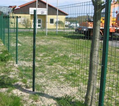 Cina Spolverizzi Holland Welded Euro Fence With che ricoperta il PVC spolverizza il rivestimento immerso in vendita