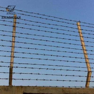 Cina Bobina galvanizzata 0.4mm-0.6mm del filo spinato densamente per la recinzione della prigione in vendita