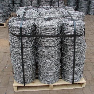 Cina Bobina galvanizzata 0.4mm-0.6mm del filo spinato densamente per la recinzione della prigione in vendita