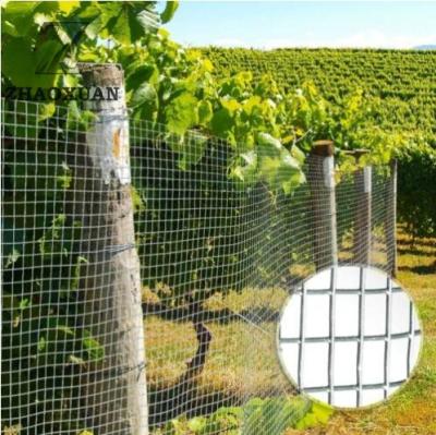China 1/4 Inch Galvanized Welded Wire Mesh Roll for Garden Farm Cage for sale