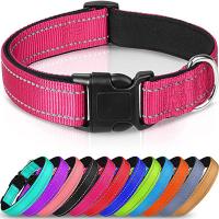 China Breathable Nylon Reflective Dog Collar Multicolor Adjustable 5 Sizes 8-28 Inch Neck for sale