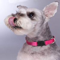 China Breathable Nylon Reflective Dog Collar Multicolor Adjustable 5 Sizes 8-28 Inch Neck for sale