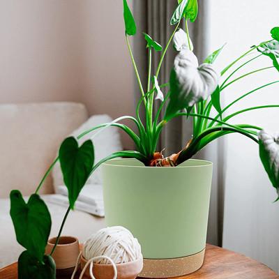 Китай Indoor Plastic Green Plant Pots With Drainage Holes And Removable Base продается