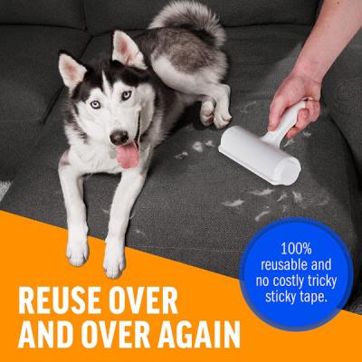 Cina Rullo sostenibile di plastica di nylon del residuo di stoffa della pelliccia dell'animale domestico e del dispositivo di rimozione del residuo di stoffa per il tappeto dello strato in vendita