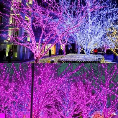 Cina il Natale impermeabile alimentato solare di 20m LED mette insieme le luci per la decorazione di nozze del partito in vendita