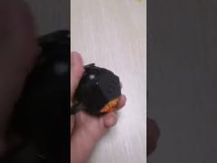 12 Sided Stress Relief Fidget Toys Cube For Children Adults