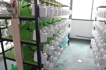Fornitore cinese verificato - Jiangsu Shuangsheng Medical Appliance Co., Ltd.