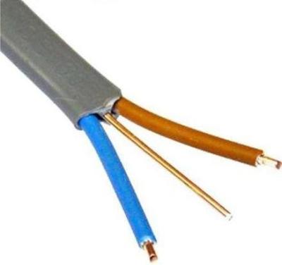 Cina Il PVC piano del cavo elettrico 2*1mm2+E della costruzione ha isolato il filo di rame in vendita