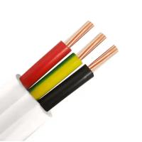 China Customizable TPS PVC Flat Cable 2 Core 450/750V PVC Insulated Sheathed Ground Wire for sale