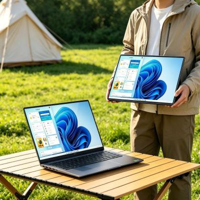 China 21.4 Inch IPS Panel 100Hz 6ms Portable Screen with Speaker Type-C for Laptop Gaming Extension for sale