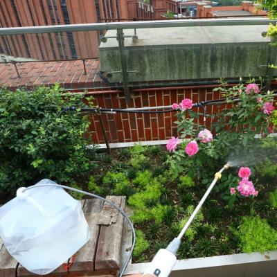 中国 電動自動ガーデンスプレー付き折りたたみ式折りたたみ式ジェリー缶 販売のため