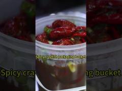 600 ml Impresión IML personalizada Baldes de plástico transparente con tapas para impresión de transferencia de calor