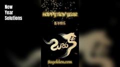 HAPPY NEW YEAR