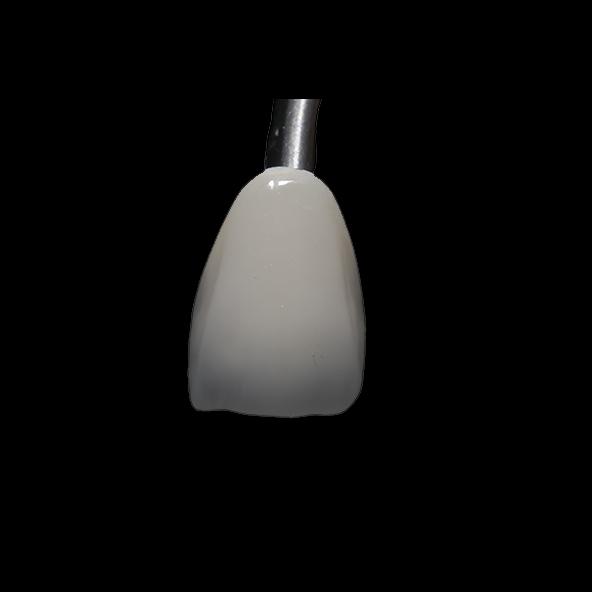 Quality Dental PFM Crown And Bridge Customizable With CoCr Ceramic Materials for sale
