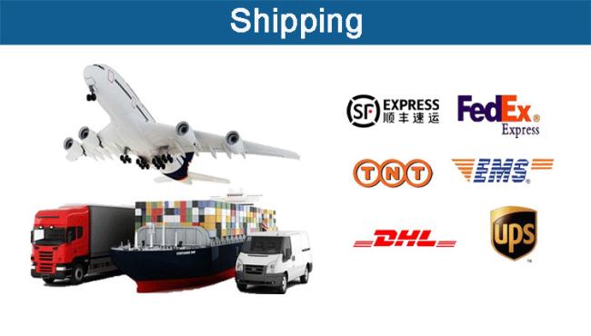 ポンティアクg8 oemの部品