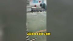 300mm cable ladder 2.0