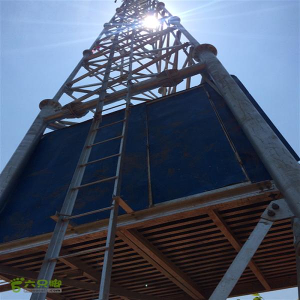 Quality 20 25 30 35 40 42 45 48 50 52 55 60 65 M Highest Communication Tower Pylon for sale