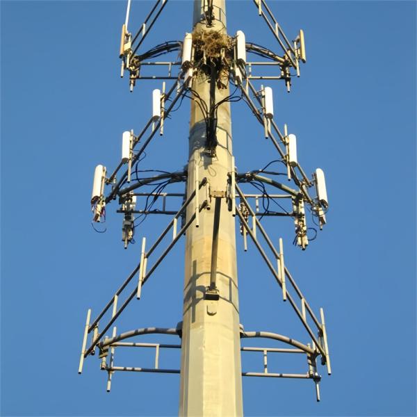 Quality 4g 5g Wireless Microwave Monopole Telecom Tower With Flangle 5m 12m 36m 45m 55m for sale