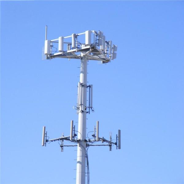 Quality 4g 5g Wireless Microwave Monopole Telecom Tower With Flangle 5m 12m 36m 45m 55m for sale