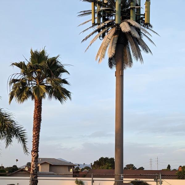 10 20 30 M Palmboom Valse boom Celtoren Gecamoufleerde Telecommunicatie 5-80M